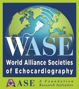 Ase Echo Normal Values
